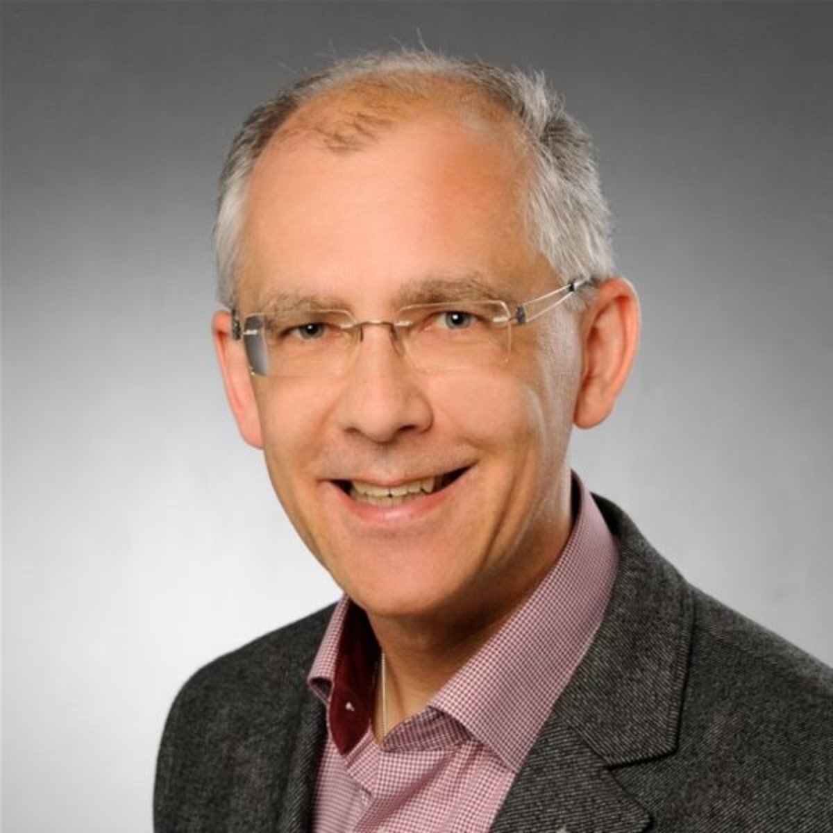 Propstei Vorsfelde: Kirchenkreis